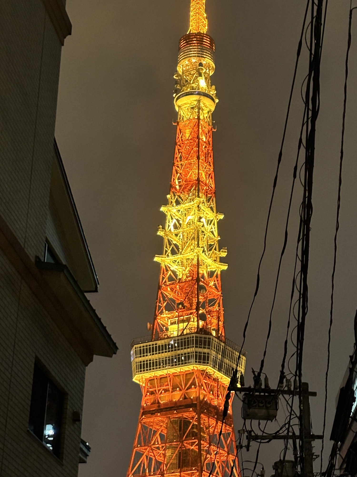 綺麗 | KASH-official - KASH-official